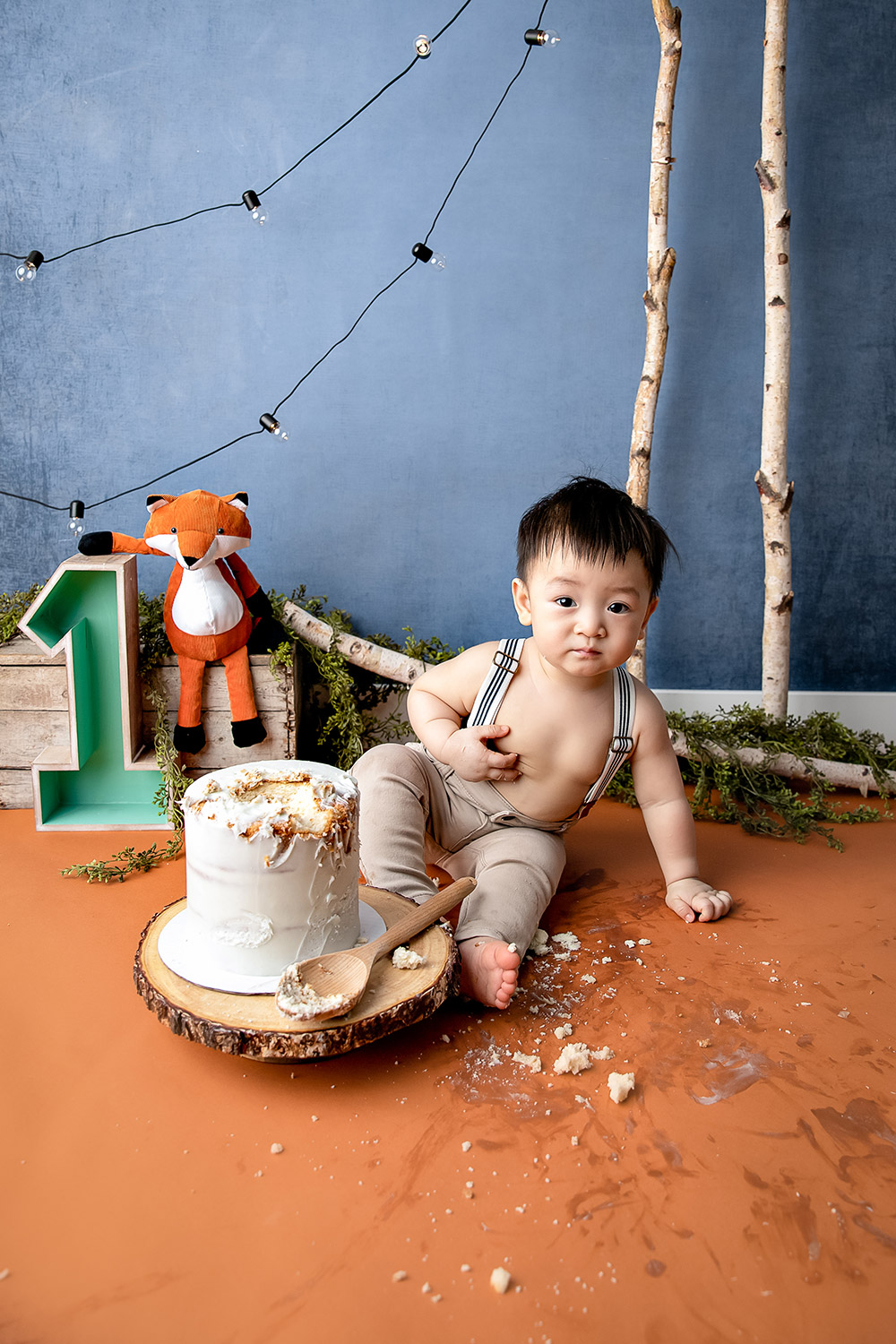 Felix | Winnipeg Cake Smash Photography - Kristin Tiffany Photography ...